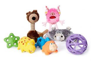 BüD'z - Toys and accessories for dogs and cats